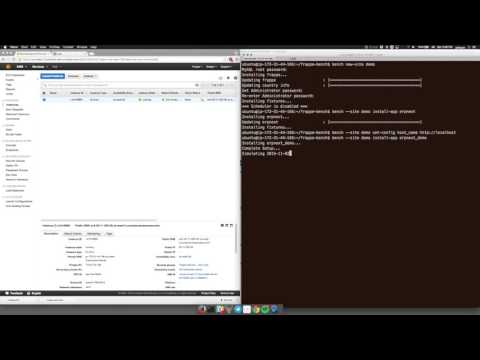 Erpnext_demo failed to install - Setup - Frappe Forum