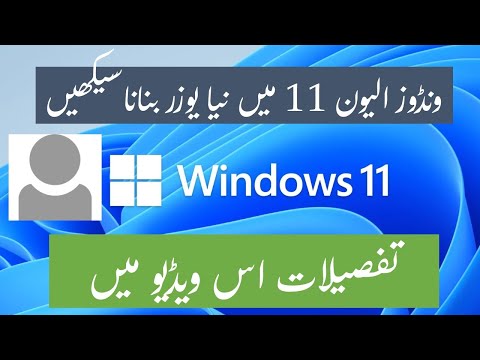 Create Users in Windows 11 Using Computer Management & CLI | Urdu / Hindi