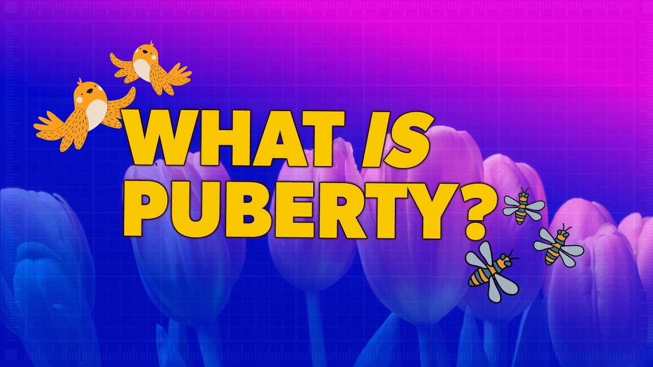Hormones, Body Odor, and Acne, Oh My! Puberty 101 I Parentalogic