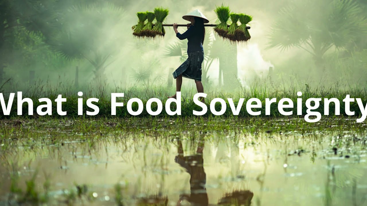 What is food sovereignty? (TABLE explainer video series)