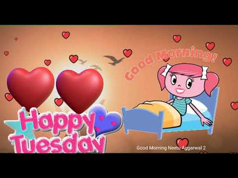 Happy Tuesday Wishes,Happy Tuesday Whatsapp Status Video,Happy Tuesday Gifs,Happy Tuesday E-Card