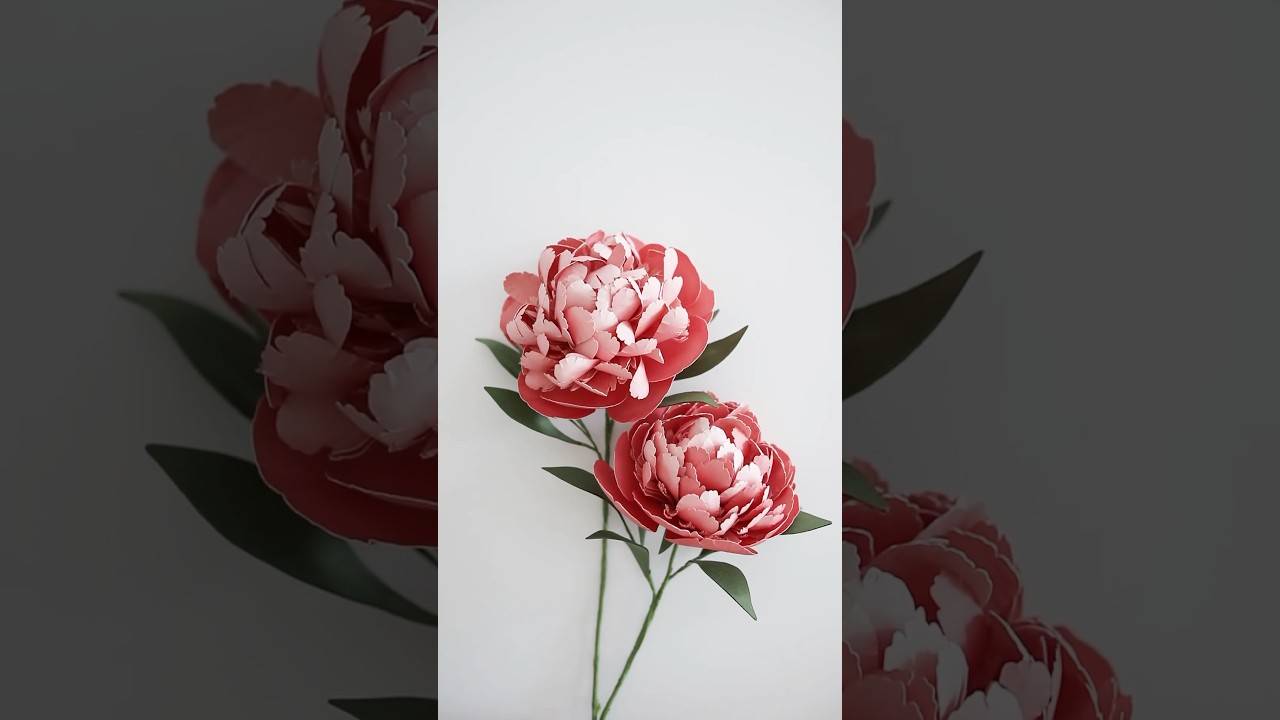 How to make paper flower peony DIY #paperflower #papercraft #diycrafts