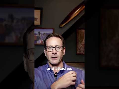 What Is Biceps Tendonitis? Causes, Anatomy, and Who’s at Risk? | Dr. Drake at Level Up Shoulder