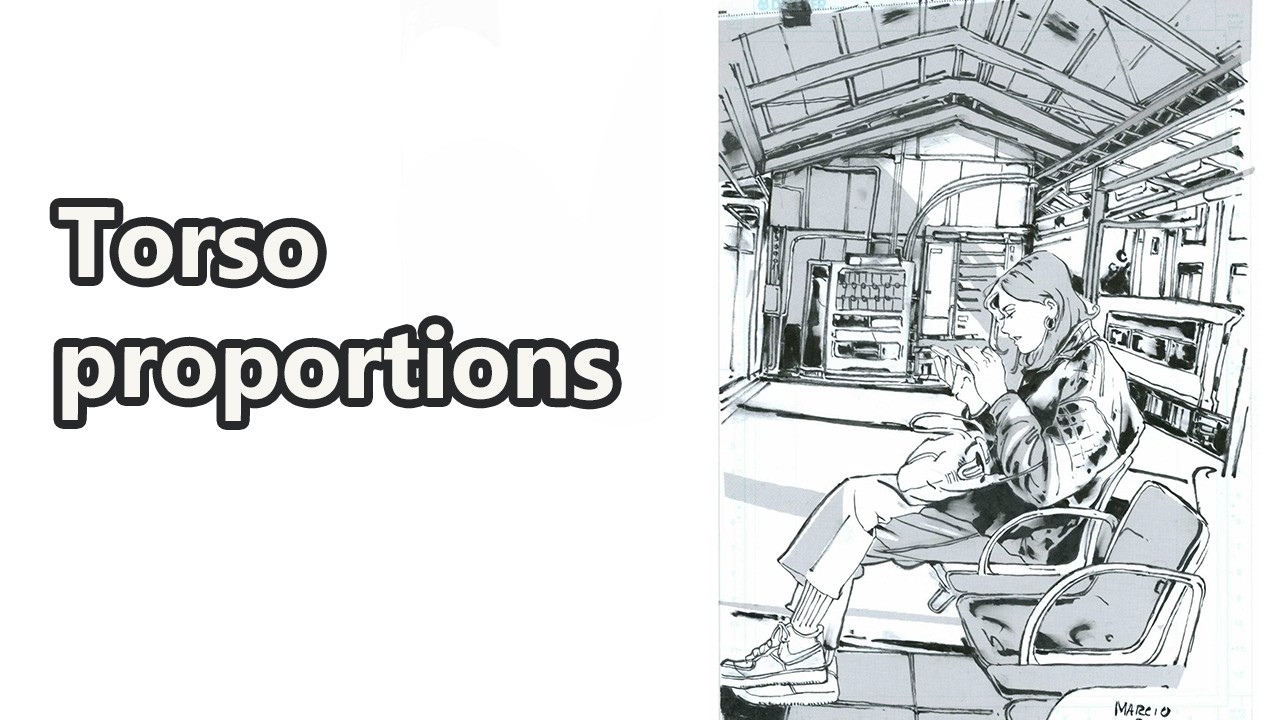 Anatomy of the Torso – Proportions Every Artist Should Know