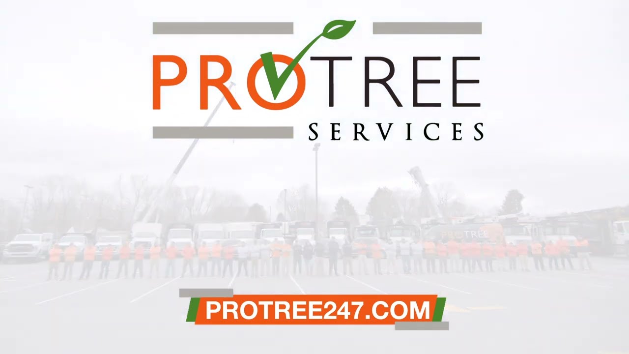 ProTree Services