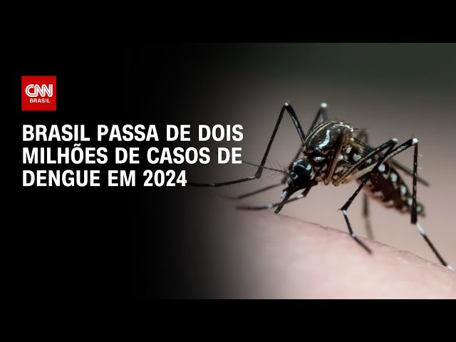 Brasil bate 2 milhões de casos de dengue em 2024 | CNN Brasil