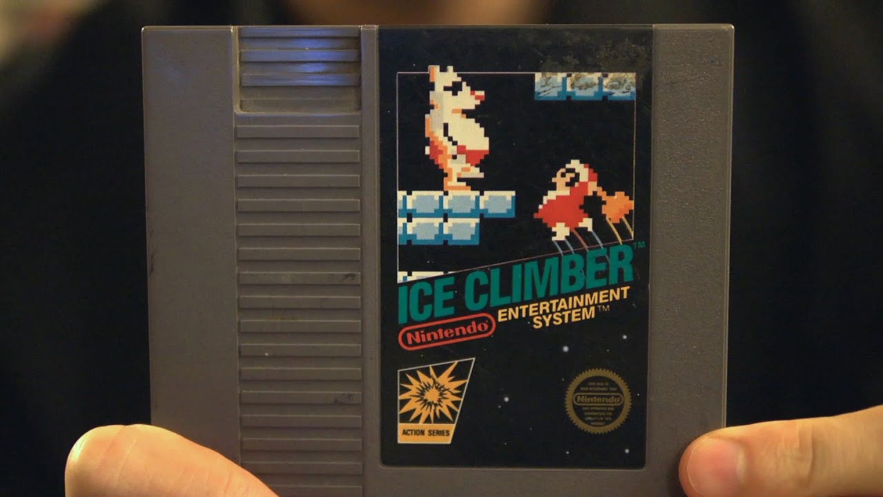 Ice Climber (NES) Mike & Bootsy