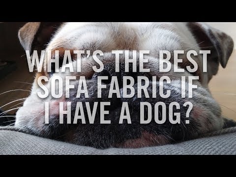 Dog Friendly Sofa Fabrics - Pet Friendly Sofas - Best Pet Friendly Sofas - Roger and Chris