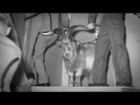 Army Football: ESPN College GameDay feature on Spirit Missions 12-10-16