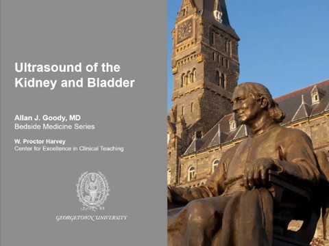 Point of Care Ultrasound of the Kidney and Bladder