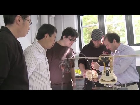 WPI and UMass Medical School: Stronger Together
