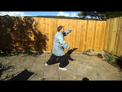 LFIAA Yang Style Simplified Taijiquan 16 Step Form – LFIAA Under ...