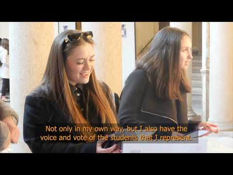 Student representatives role in the governing bodies