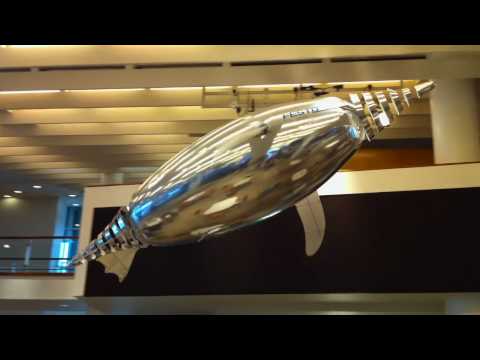 4. Festo Air Penguin | Mathspig Blog