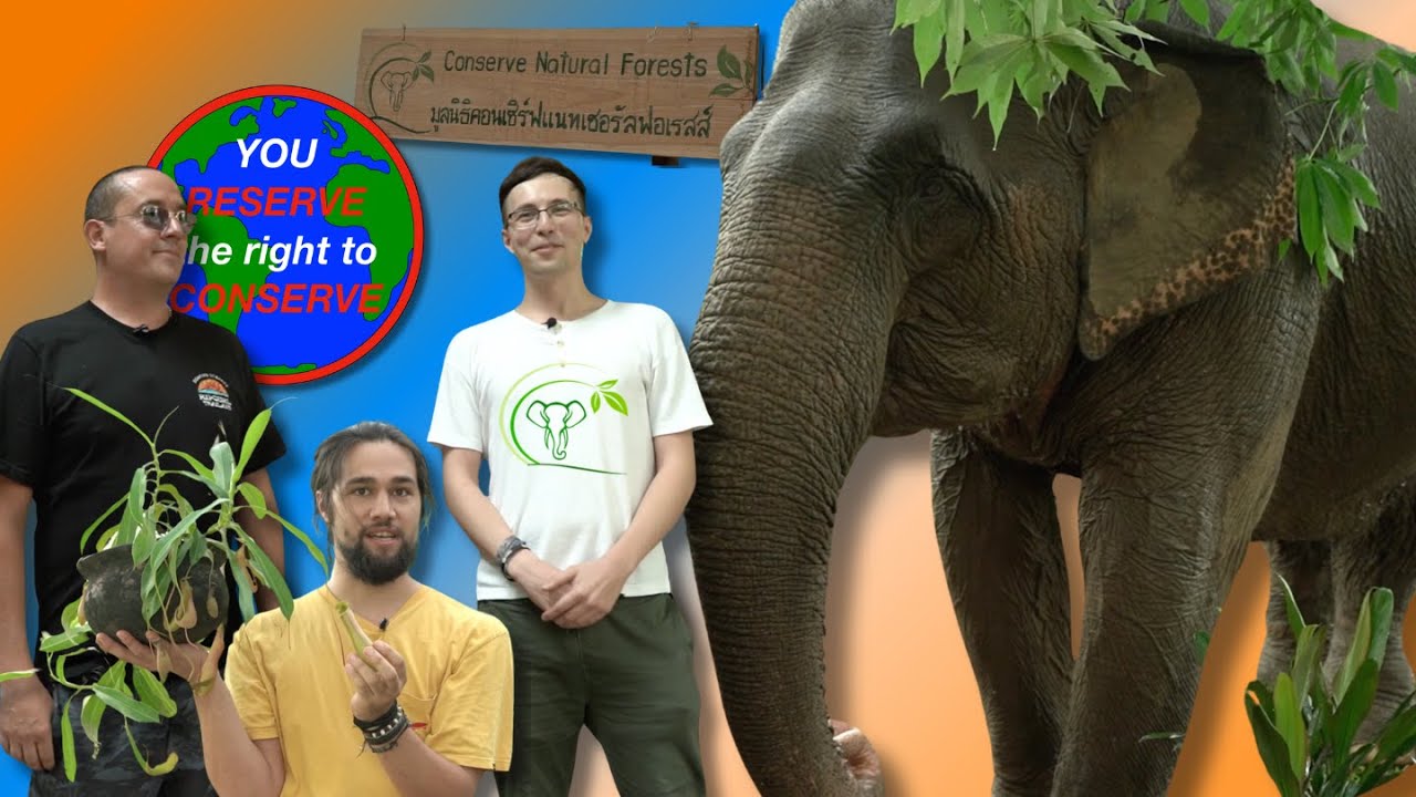 EPISODE 1: Thailand's SOS: YRTRTC's Mission to Rescue Elephants & Trees with CNF!