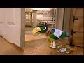 Patchy Angry Betrayed Watch HD Mp4 Video Download Free