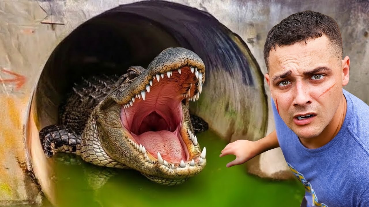 I Found A Giant Swamp Monster..