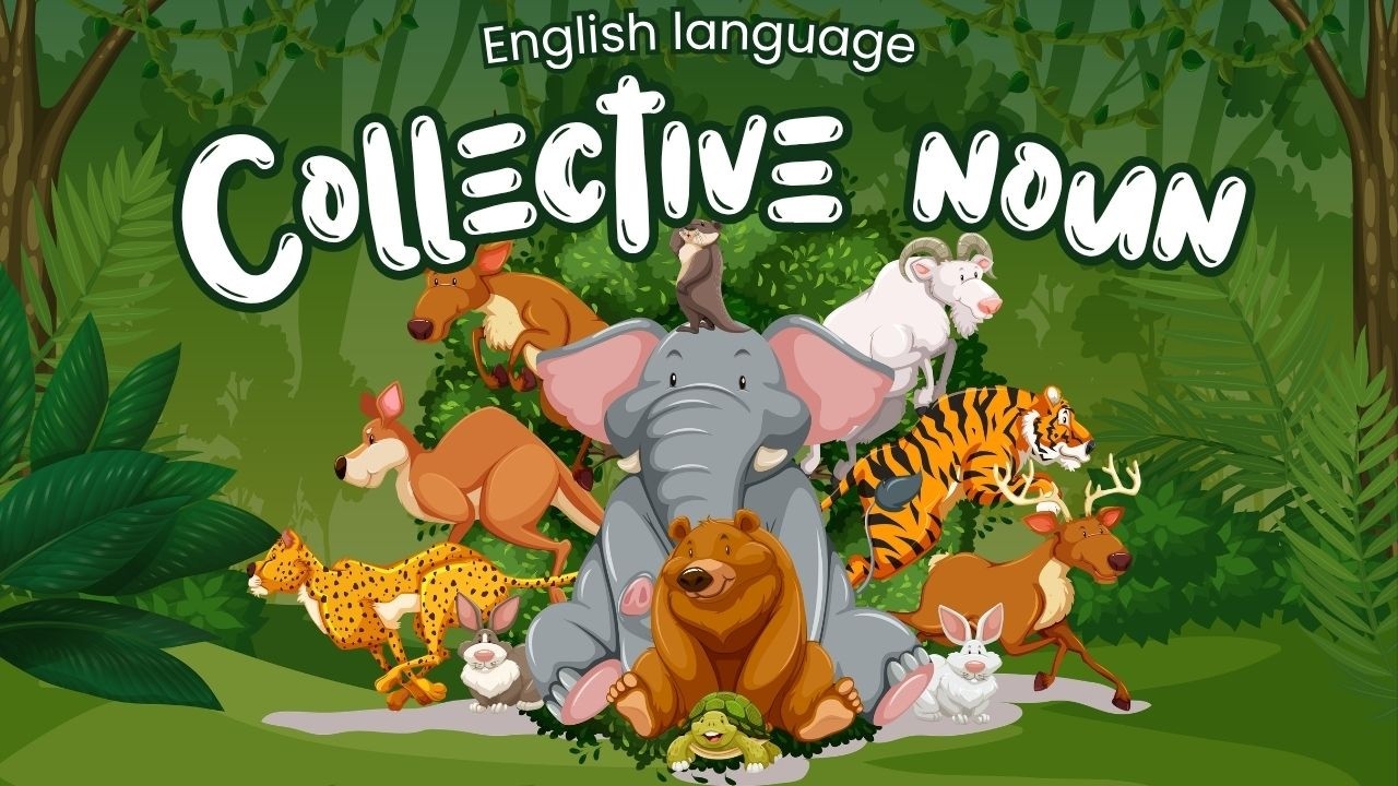 Master Collective Nouns: Group Names for People, Things, and Animals!