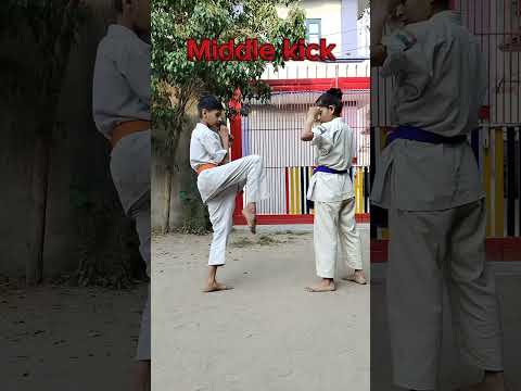 Tutorial of three side kicks l. Daily karate practice at home. #martialarts