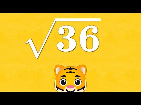 Square Root 36