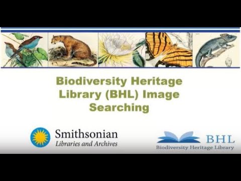 Presented by Smithsonian Libraries and Archives: BHL Image Searching