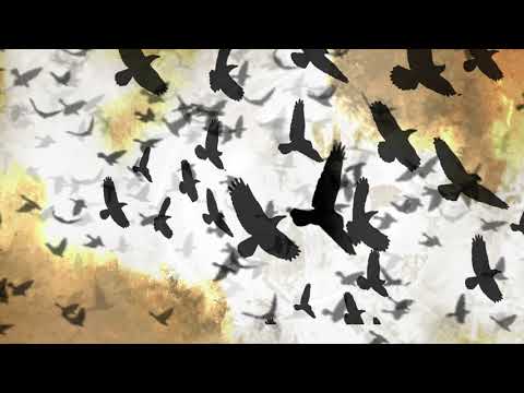 It’s So Hard To See – Rem-Iseul Kim