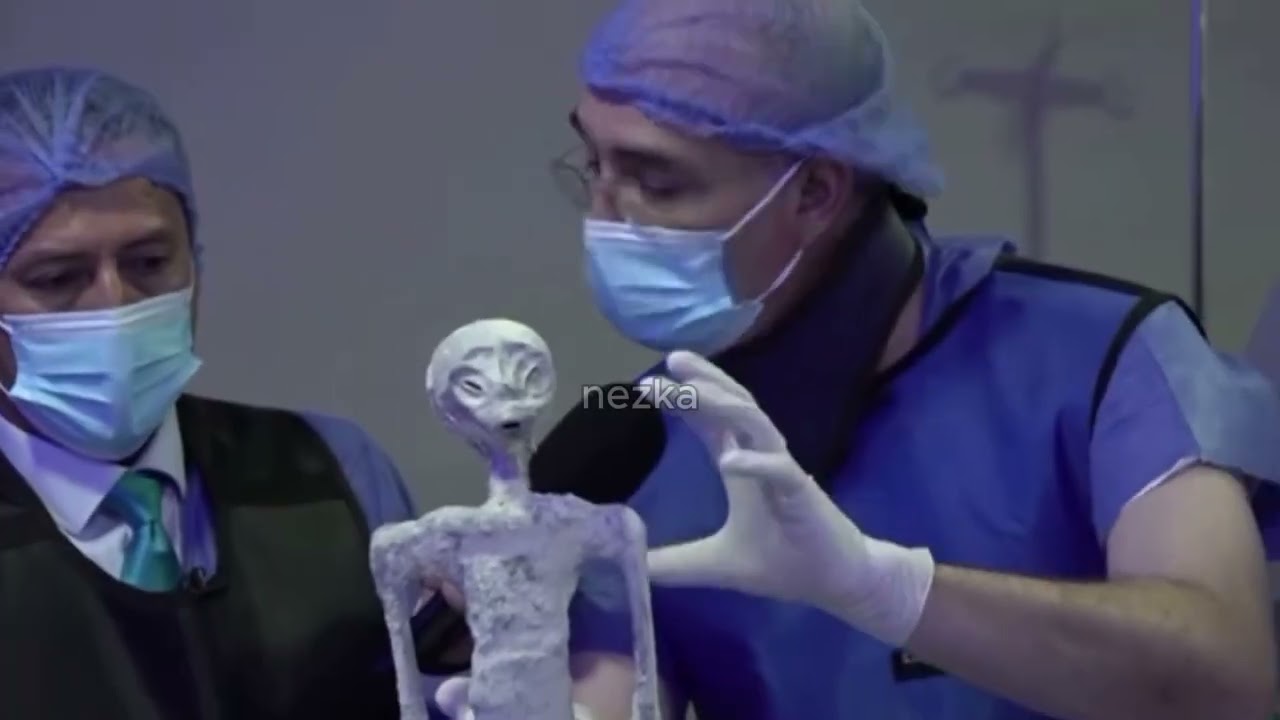 Are ALL Aliens Really This Size?! 👽😳