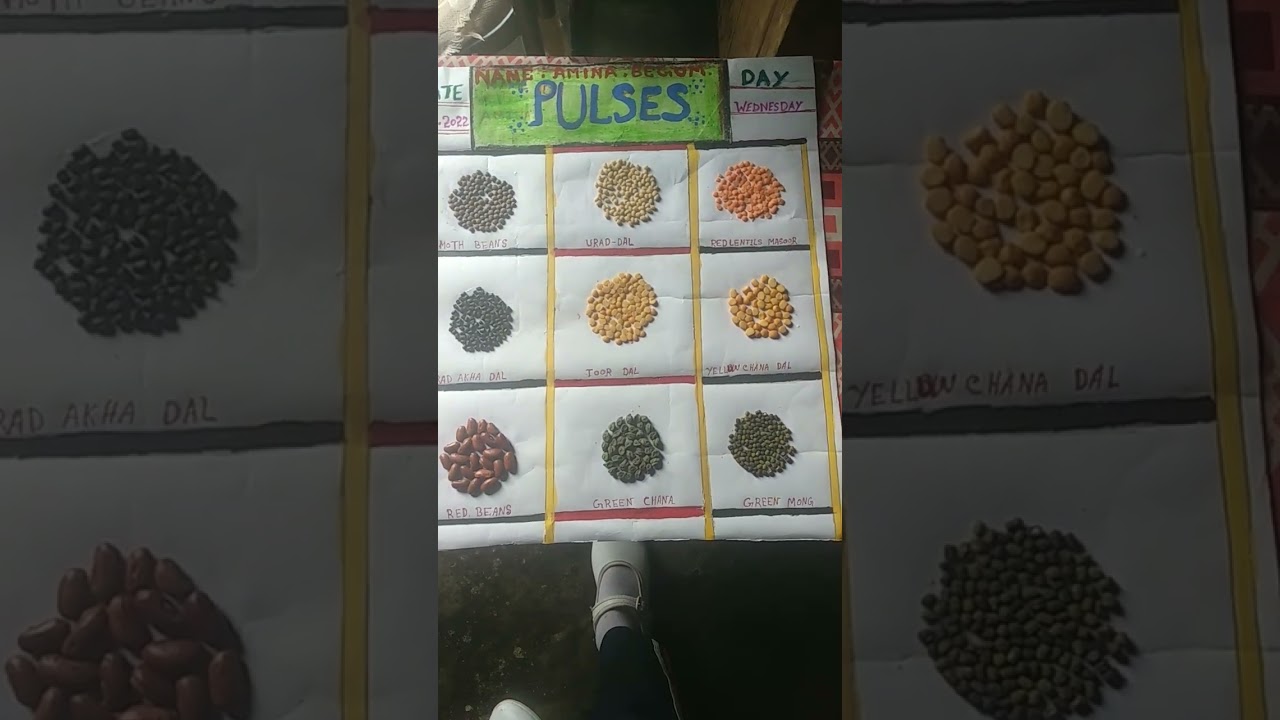 Pulses project short
