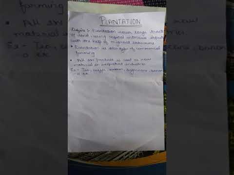 What is plantation?