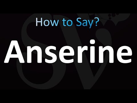 How to Pronounce Anserine (Correctly!)