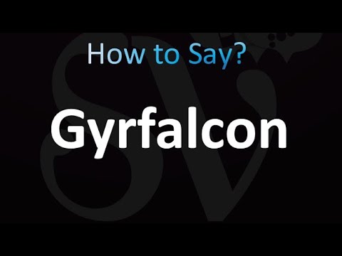 How to Pronounce Gyrfalcon (Correctly!)