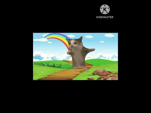 happy cat is so happy #meme