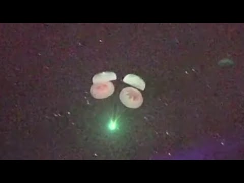 Crew-5 successfully splashes down off Florida coast after mission to ISS