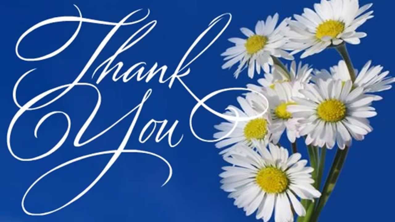 Thank You | Ecards | Greeting Cards | Messages | Wishes | Video | 00 09