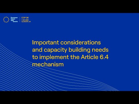 Important considerations and capacity building needs to implement the Article 6.4 mechanism