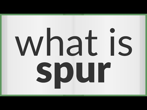 Spur | meaning of Spur