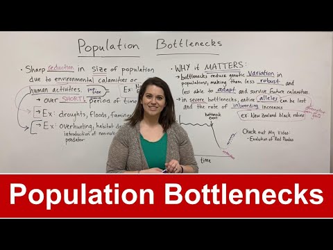 Population Bottlenecks