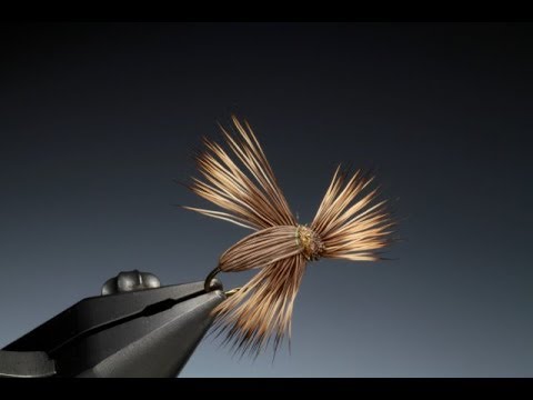 Screaming banshee caddis pattern