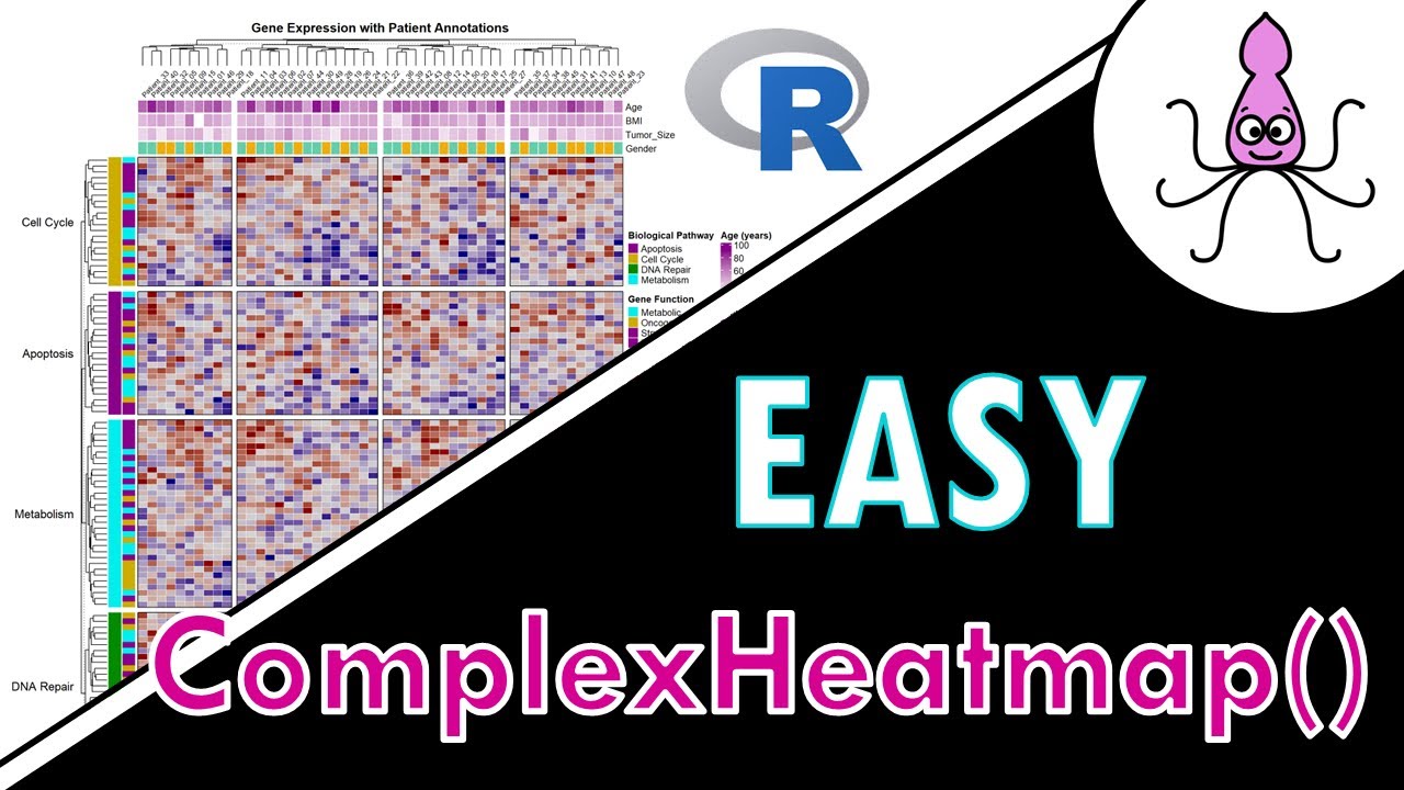 EASY Heatmaps with ComplexHeatmap() in R