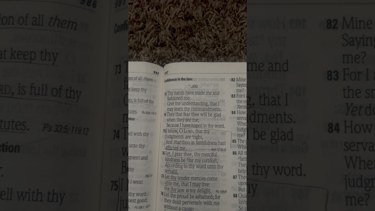 Psalms 119:65-80 (It is good for me that I have been afflicted; that I might learn thy statues.)