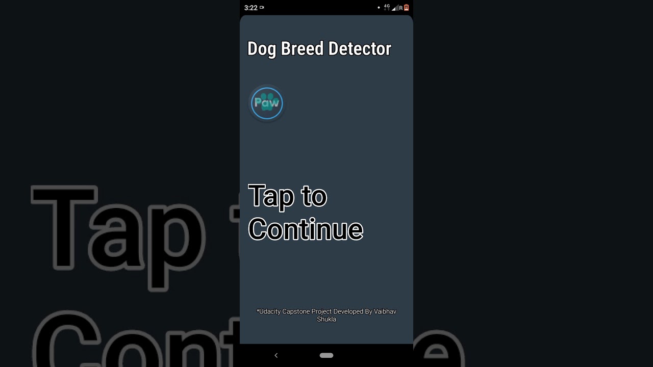 Dog Breed Detector App Demo. Udacity Capstone Project