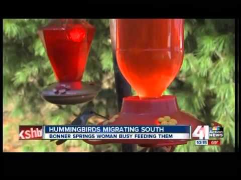 Hummingbirds keep Bonner Springs woman busy