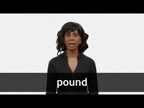 POUND - Definition & Translations | Collins English Dictionary