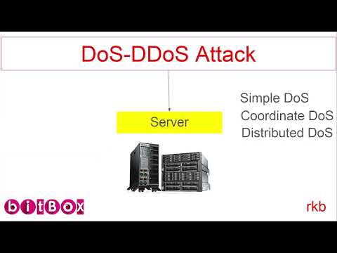 DoS DDoS attack in bangla with kali linux