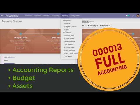 Odoo 13 Accounting: PDF Reports, Budget and Asset Management