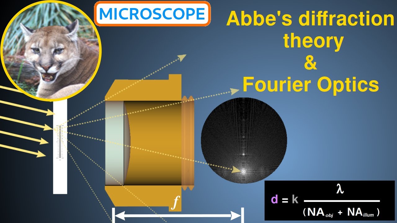 Abbe's Diffraction Theory of Microscopic Perception (and an intro to Fourier Optics)
