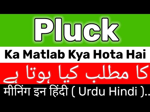 Pluck Meaning | Pluck Meaning In Urdu Hindi | Pluck Ka Matlab Kya Hota Hai | Pluck Ka Meaning Kya Ha