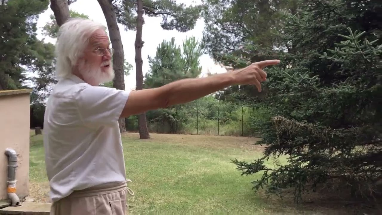 Dan Winter Appreciation Thread - General Discussion - Sapien Medicine