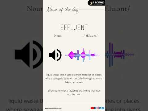 "Noun of the day effluent" | Daily Vocabulary | English Lesson for Beginners