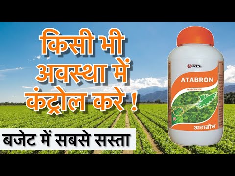 UPL Insecticides - Latest Price, Dealers & Retailers in India